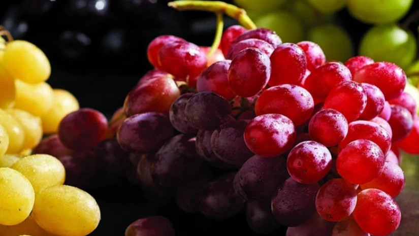 Georgia imported grapes worth $2.7 million in 7 months of 2023