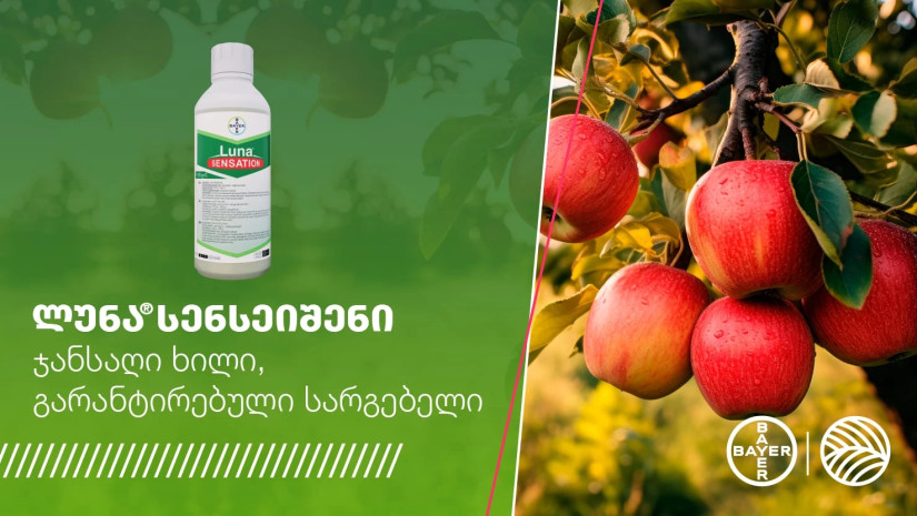 ლუნა სენსეიშენი – ჯანსაღი ხილი, გარანტირებული სარგებელი